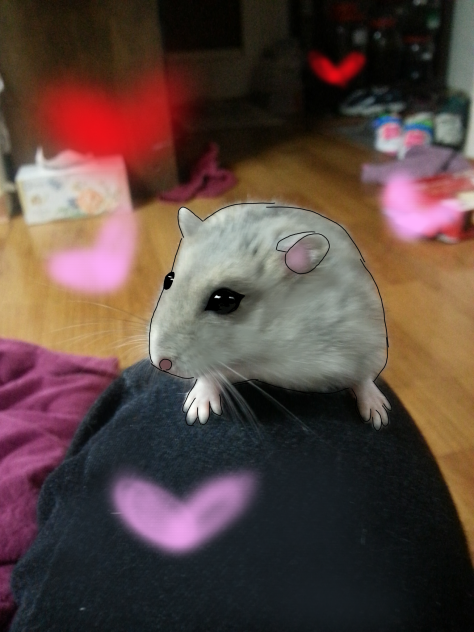 햄스터 Hamster - ibisPaint