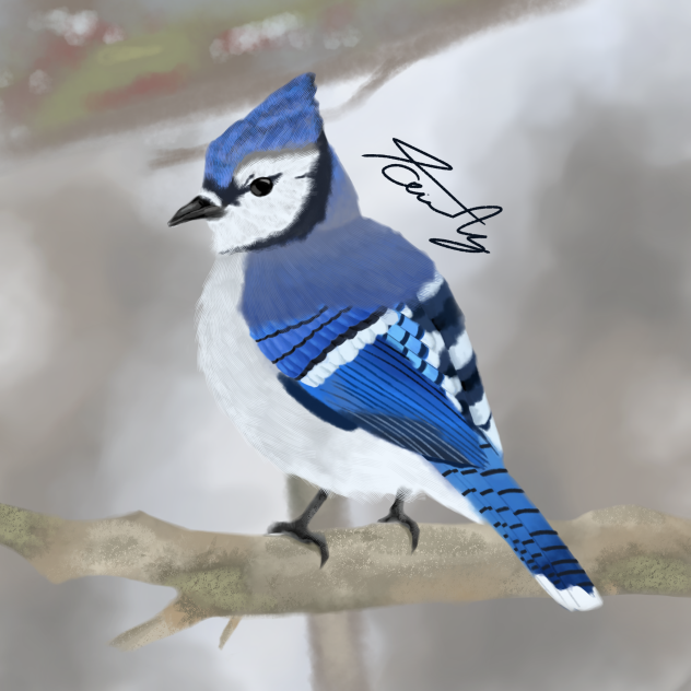 blue Jay - ibisPaint