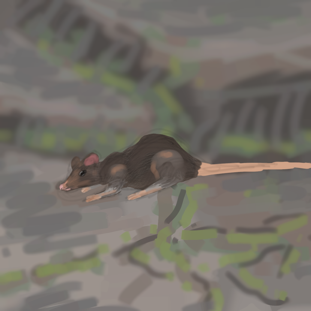 goofy lol rat - ibisPaint