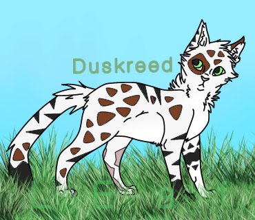 My Warrior Oc - ibisPaint