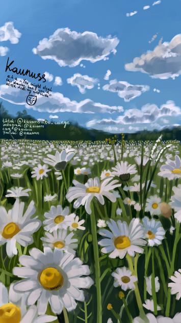 daisies - ibisPaint