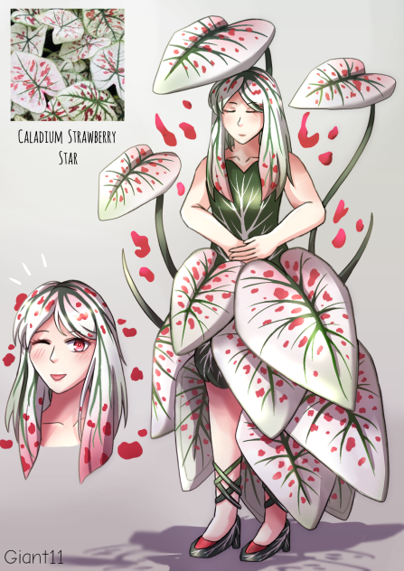 strawberry star - ibisPaint