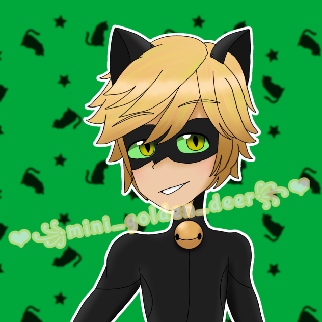 Chat Noir~ - ibisPaint