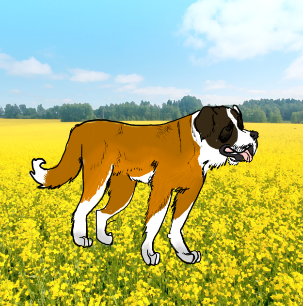 saint Bernard - ibisPaint