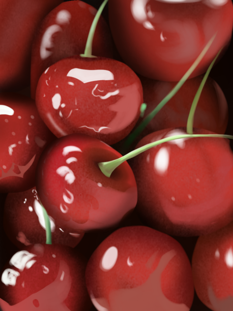 realistic cherries - ibisPaint