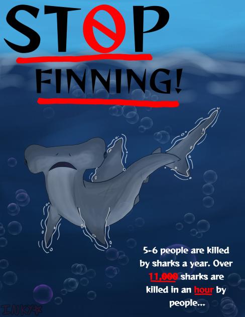 STOP FINNING 🚫🦈 - ibisPaint