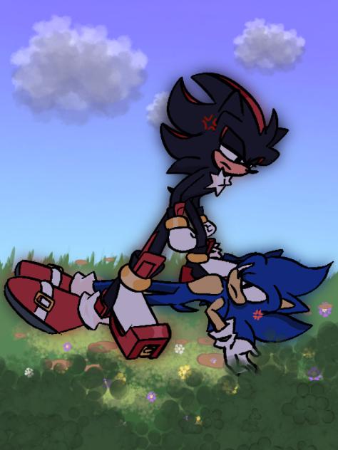 Sonic & Shadow - ibisPaint