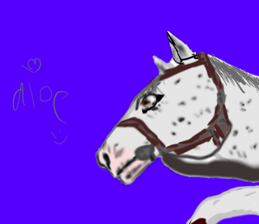 horse - ibisPaint