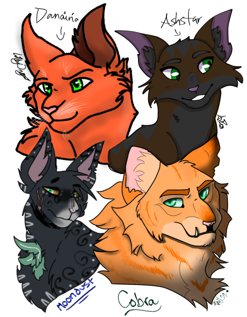 warrior cats collab - ibisPaint