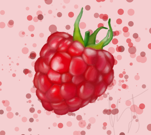 raspberry - ibisPaint
