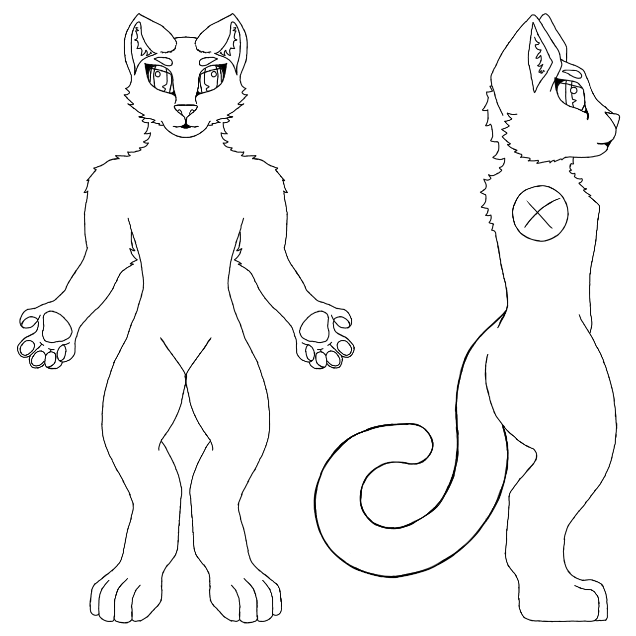 Male Cat ref sheet - ibisPaint