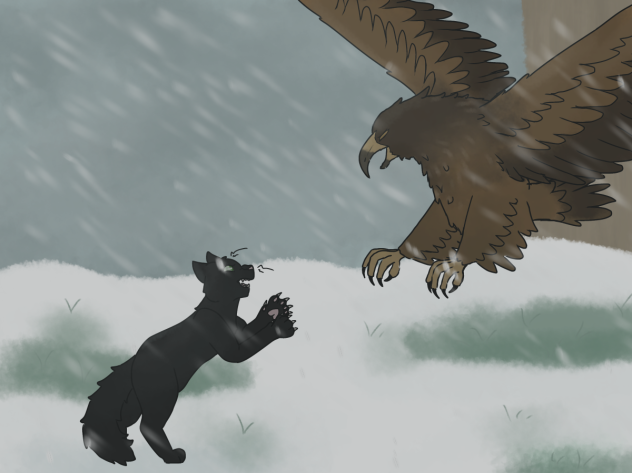 The eagle - ibisPaint