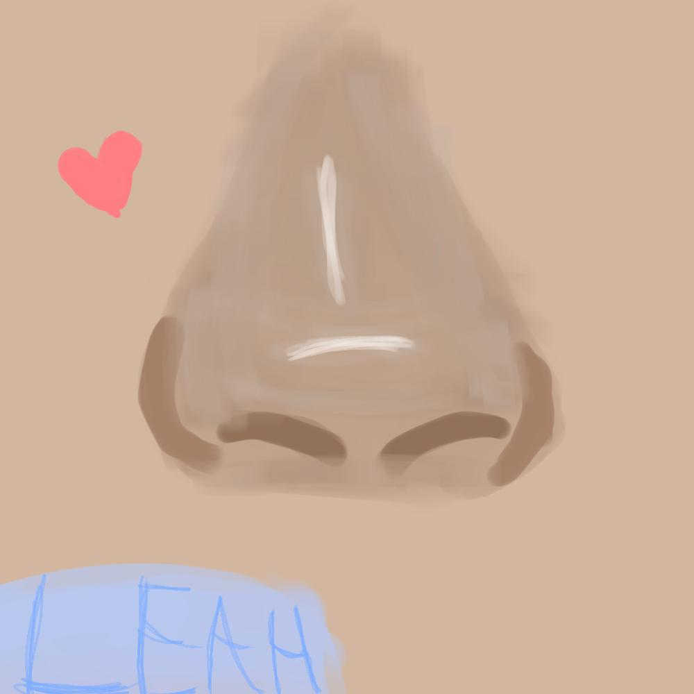 Nose - ibisPaint