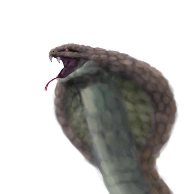COBRA - ibisPaint