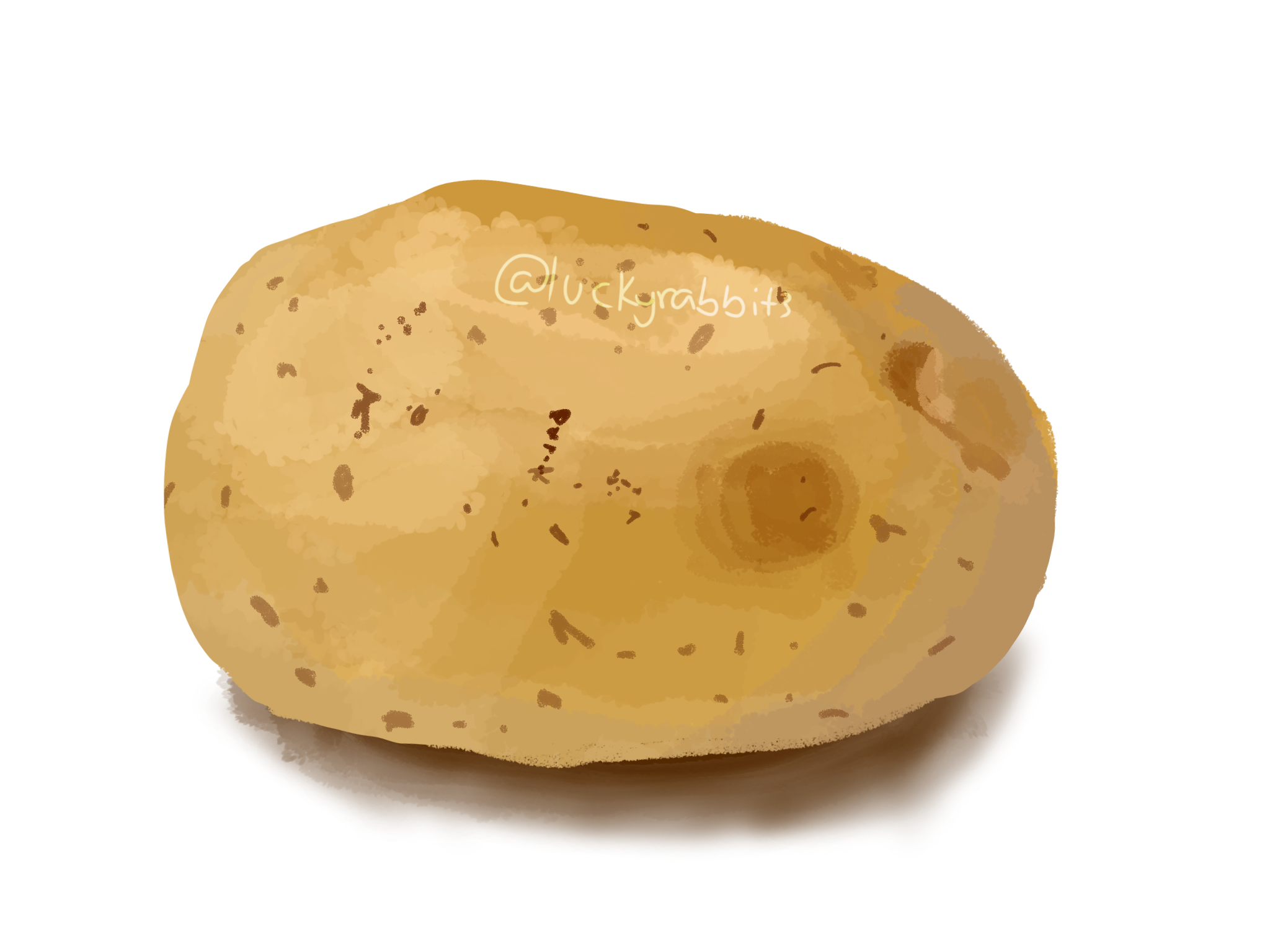 감자 (potato) - ibisPaint