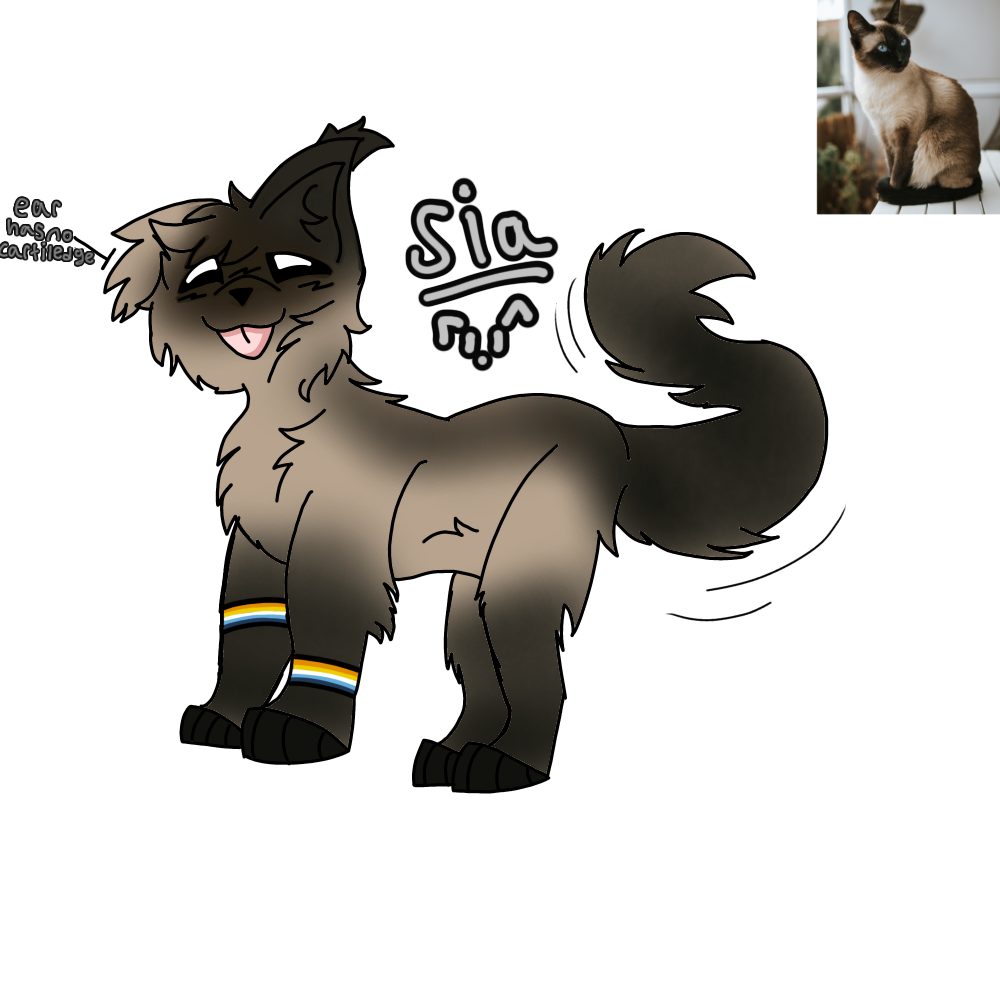 Sia the Siamese - ibisPaint