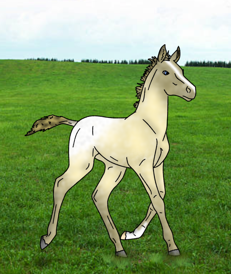 this little foal! it’s so CUTE! - ibisPaint