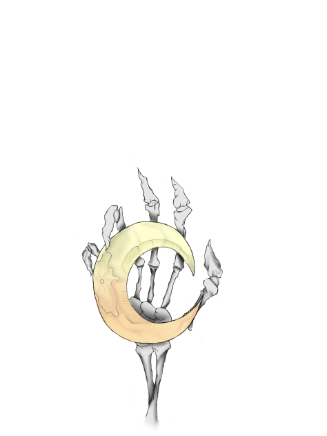 crescent hand - ibisPaint