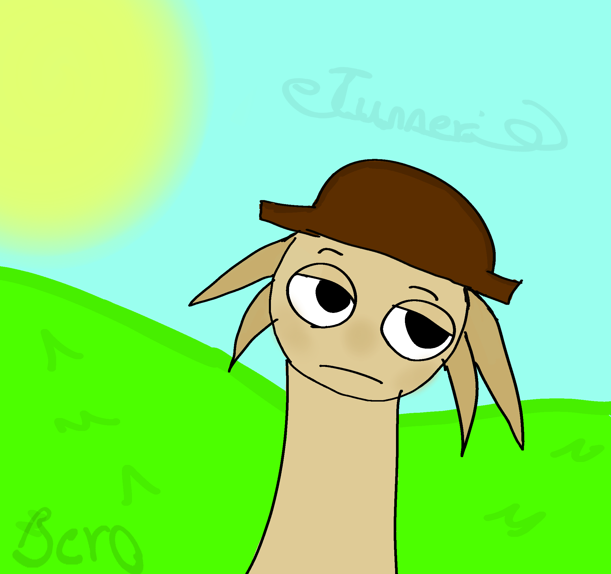 🪶Tunner🪶 - ibisPaint