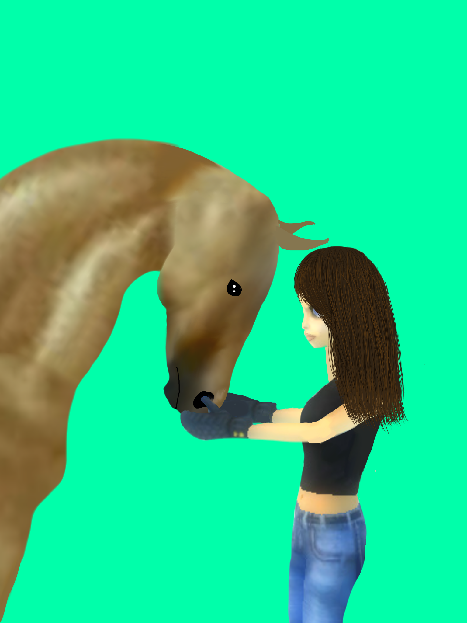 Star Stable- Speed paint (just a part) - ibisPaint
