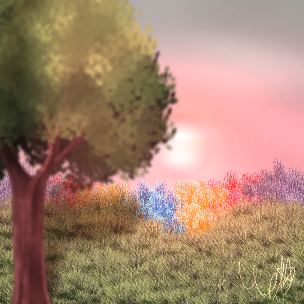 A Beautiful Sunset - ibisPaint