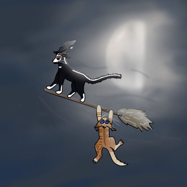 witch cats flying with a broom - ibisPaint