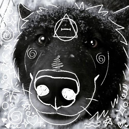 Black wolf therian - ibisPaint