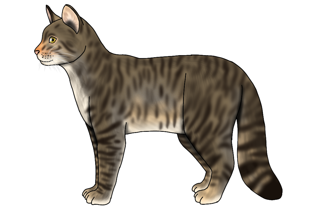 European Wildcat render - ibisPaint