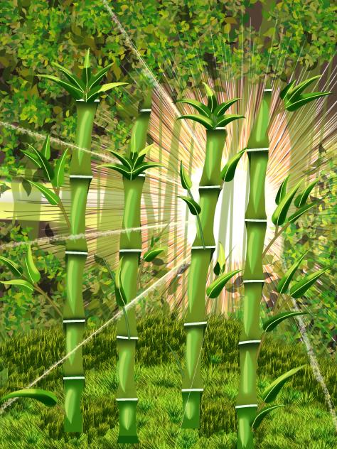 Bamboo forest in the morning - ibisPaint