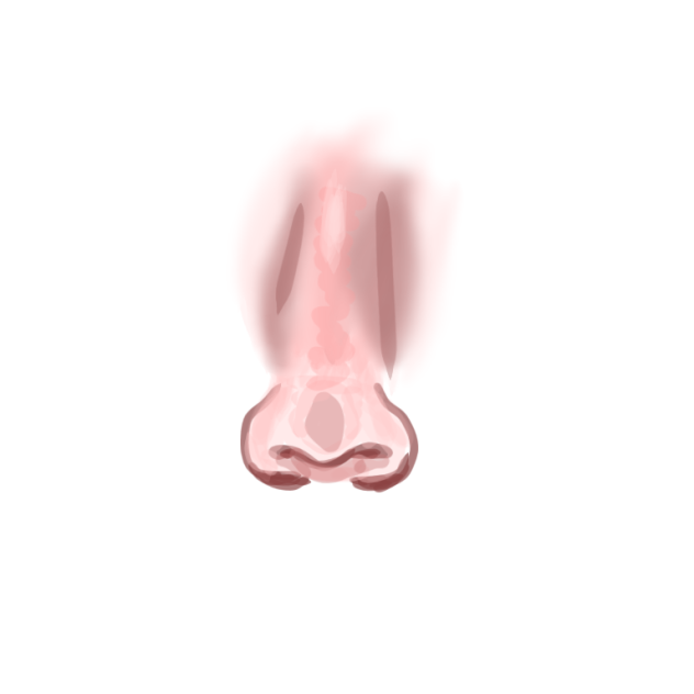 👃 Nose - ibisPaint