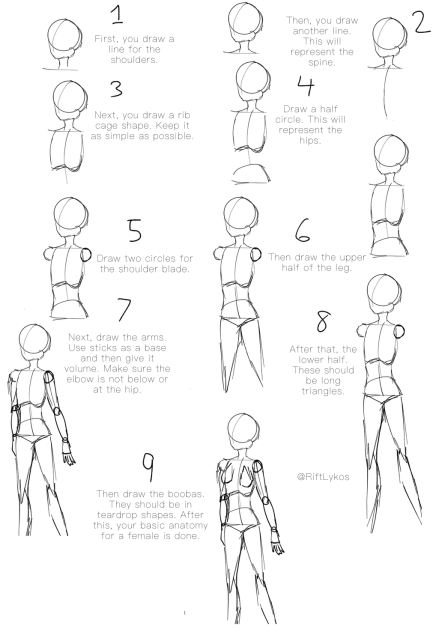 How to draw the basic sketch for female - ibisPaint