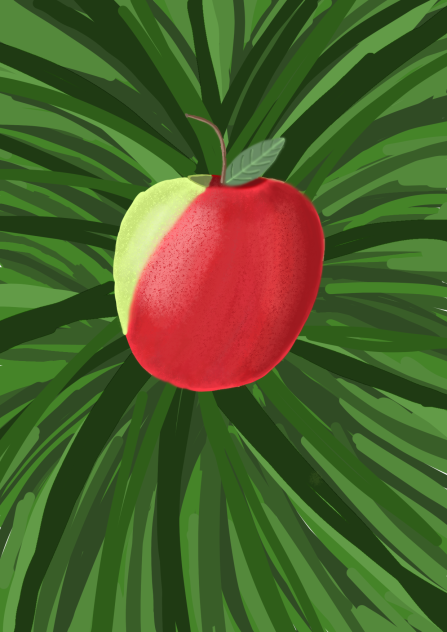 Apple 🍎 - ibisPaint