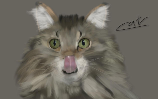 DA CAT I DRAWED - ibisPaint