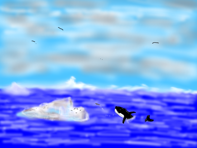 killer whale - ibisPaint