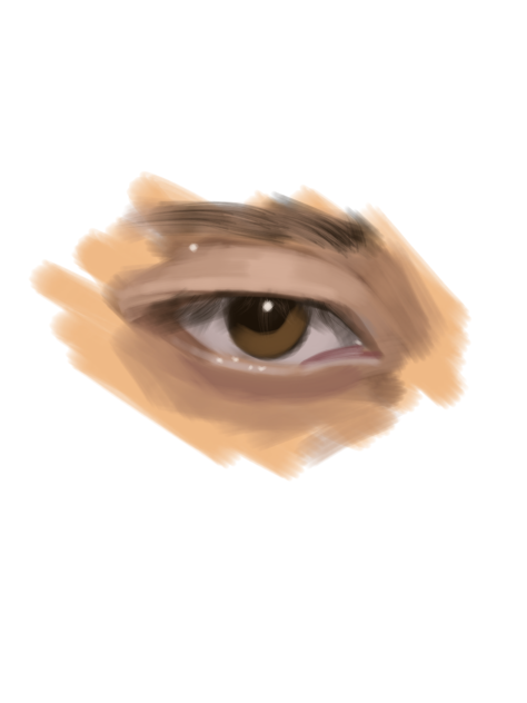 eye study - ibisPaint