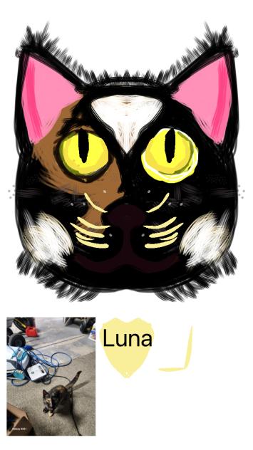 luna my rl pet cat - ibisPaint