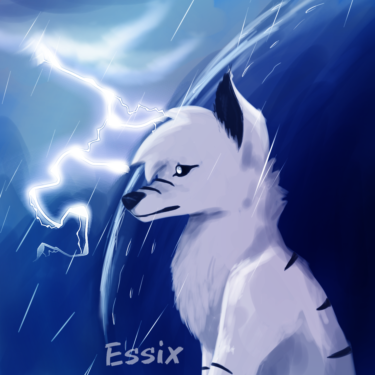 The Storm - ibisPaint