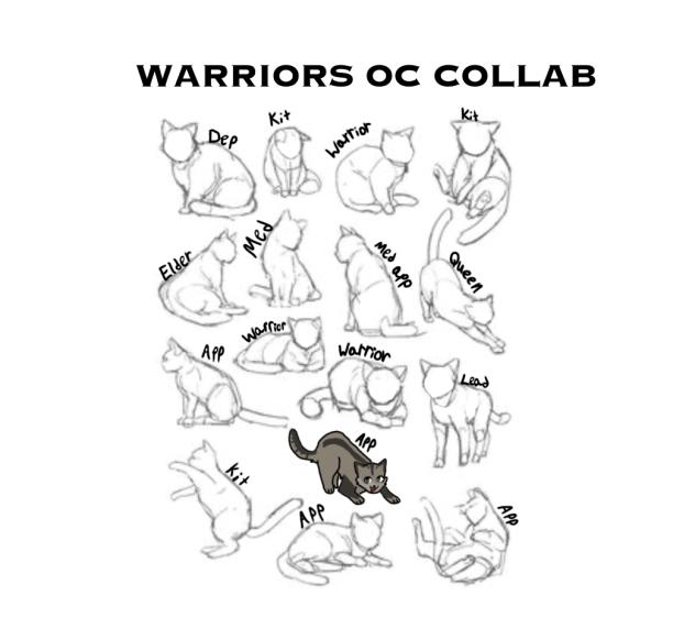 Warriors OC collab!! - ibisPaint