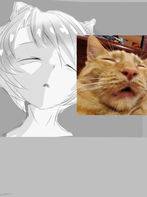 ignore this - ibisPaint