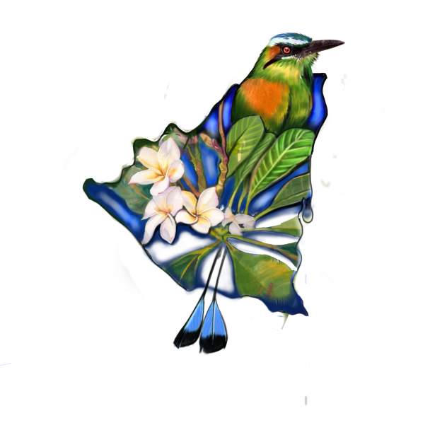 Guardabarranco Nicasio - ibisPaint