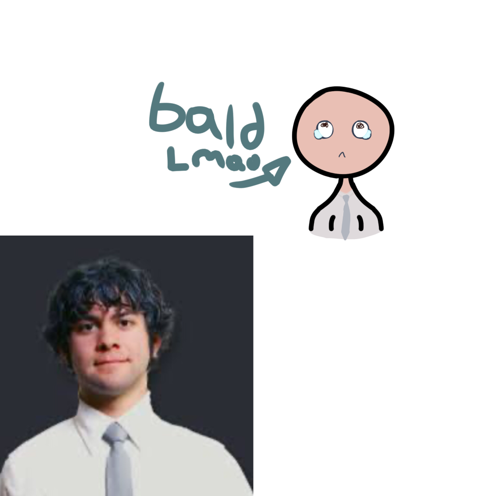 Bald Ross Federman from tally hall - ibisPaint