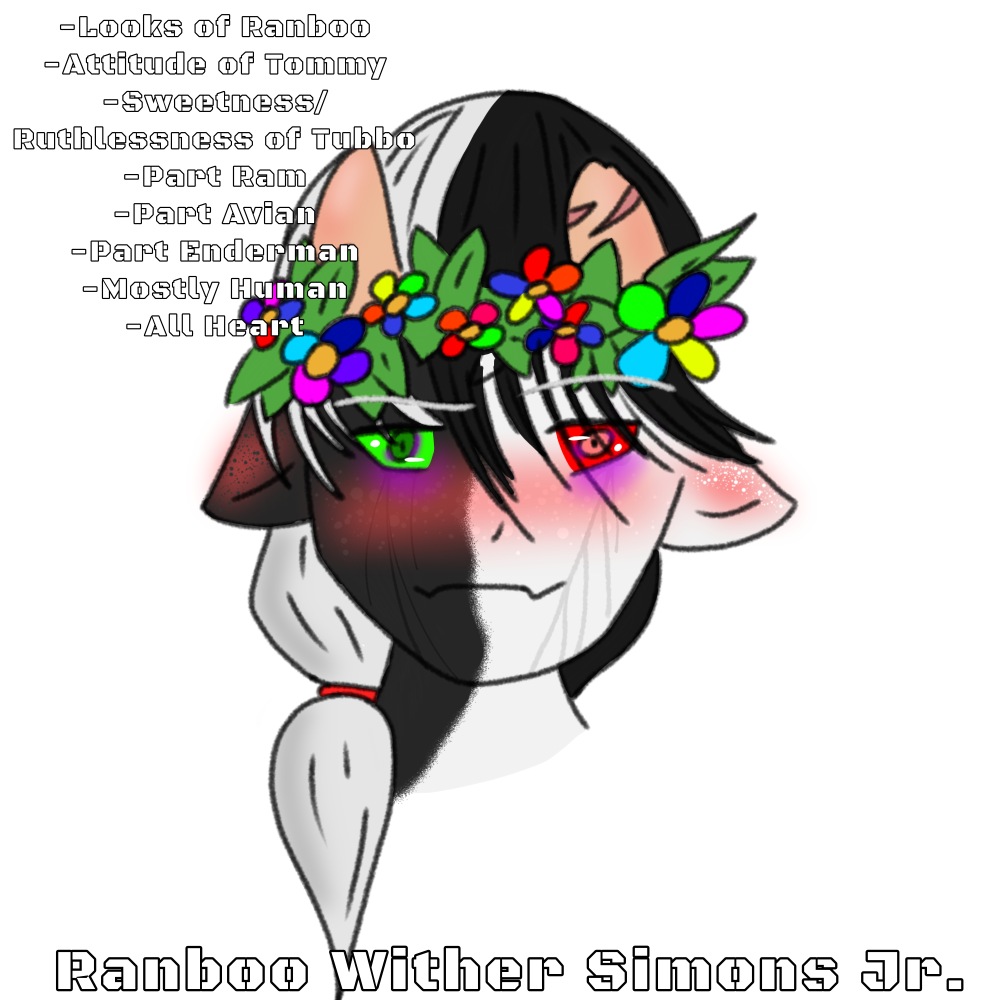 Ranboo Wither Simons Jr - ibisPaint