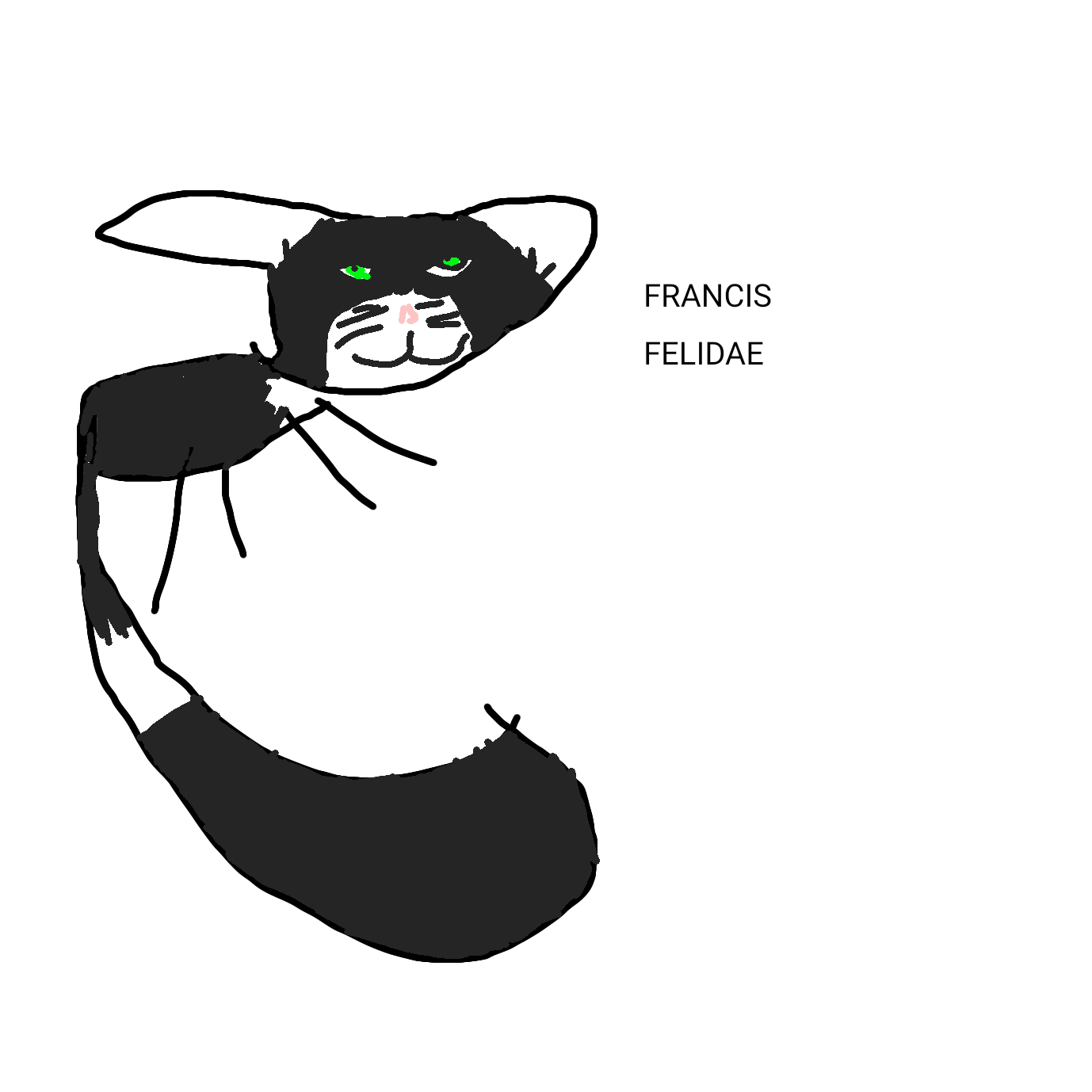 Felidae Drawing - Francis - ibisPaint