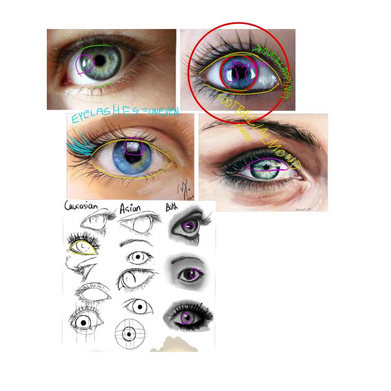Reference- EYES - ibisPaint