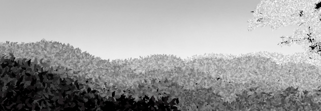 rolling trees - ibisPaint