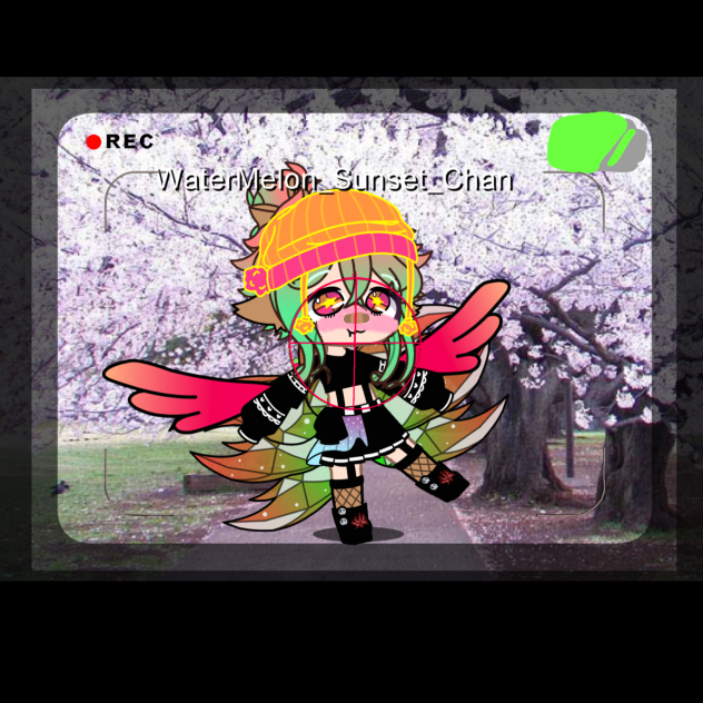 WaterMelon_Sunset_Chan - ibisPaint