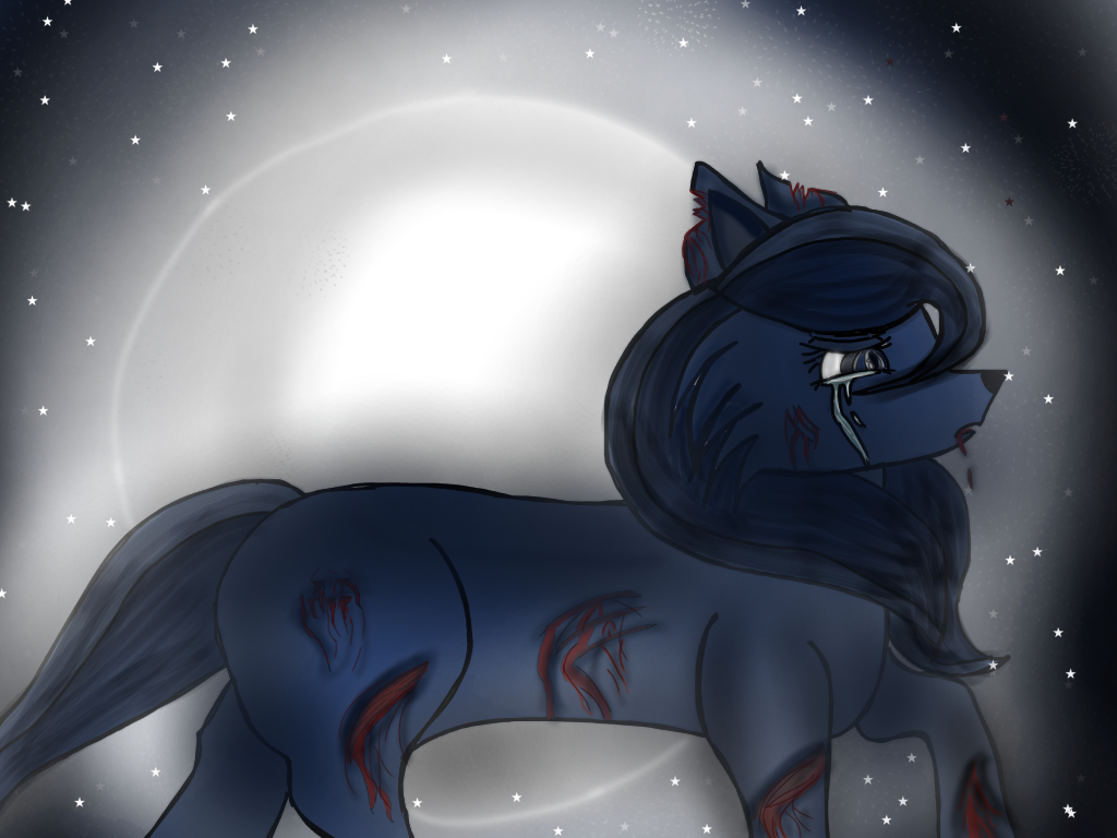 night wolf - ibisPaint