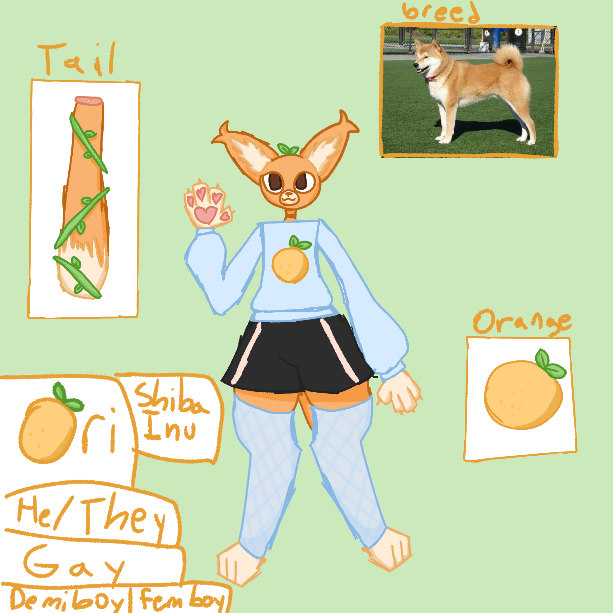 Ori the Shiba inu! - ibisPaint