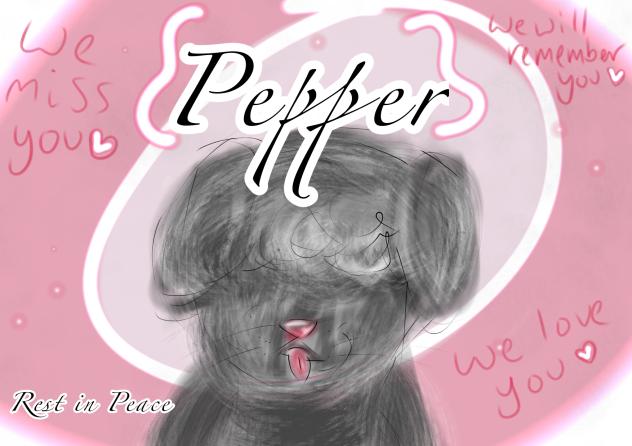 Farewell, Pepper - ibisPaint