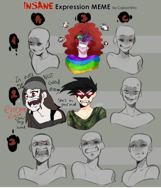 Insane meme - ibisPaint